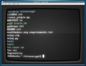 Retro Terminal für Ubuntu - eKiwi-Blog.de