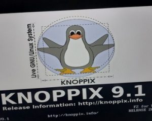 Knoppix bootfähigen USB-Stick erstellen - eKiwi-Blog.de