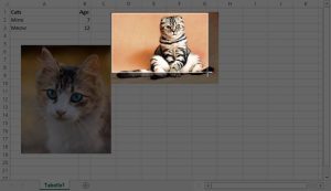 In Excel-Dokument eingefügtes Bild als Datei speichern - eKiwi-Blog.de