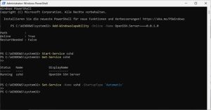 Start SSH server with PowerShell (Windows) - eKiwi-Blog.de